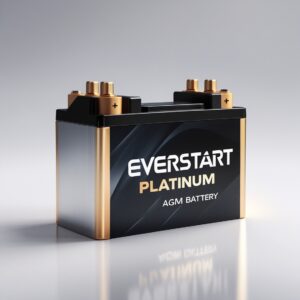 EverStart Platinum AGM Battery